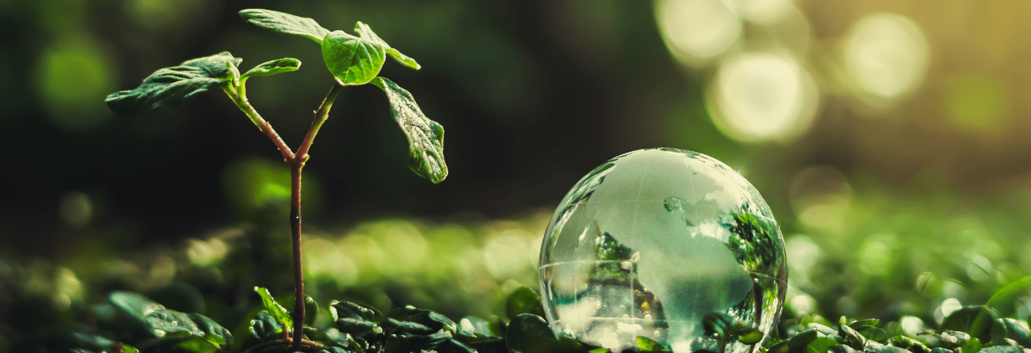 20 Ways to Promote Sustainability in the Workplace - VTR Learning